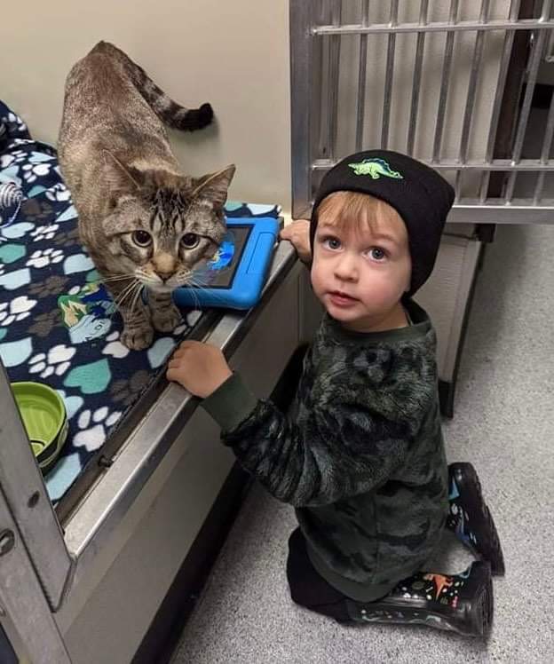 Dog Plan – Keith Dorney